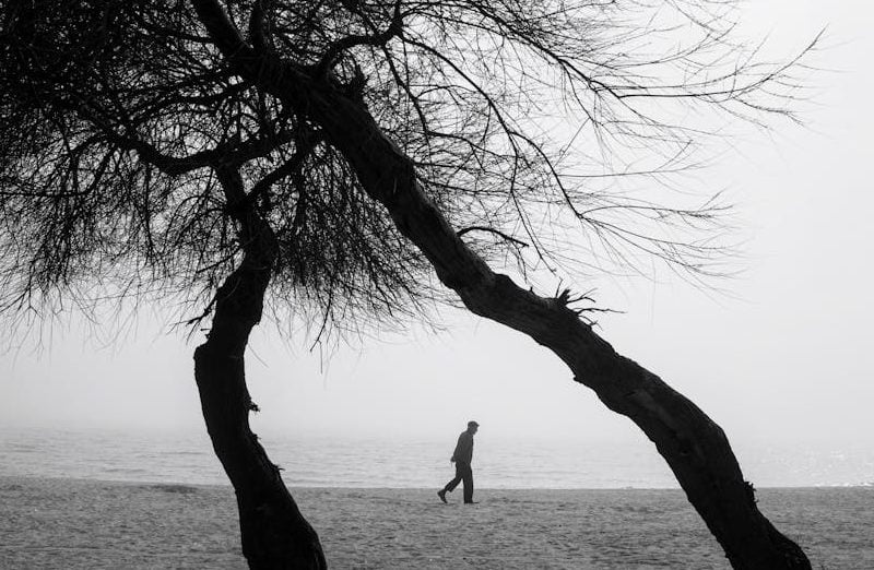 Positive Daily Path | Small Steps - Huge Transformations